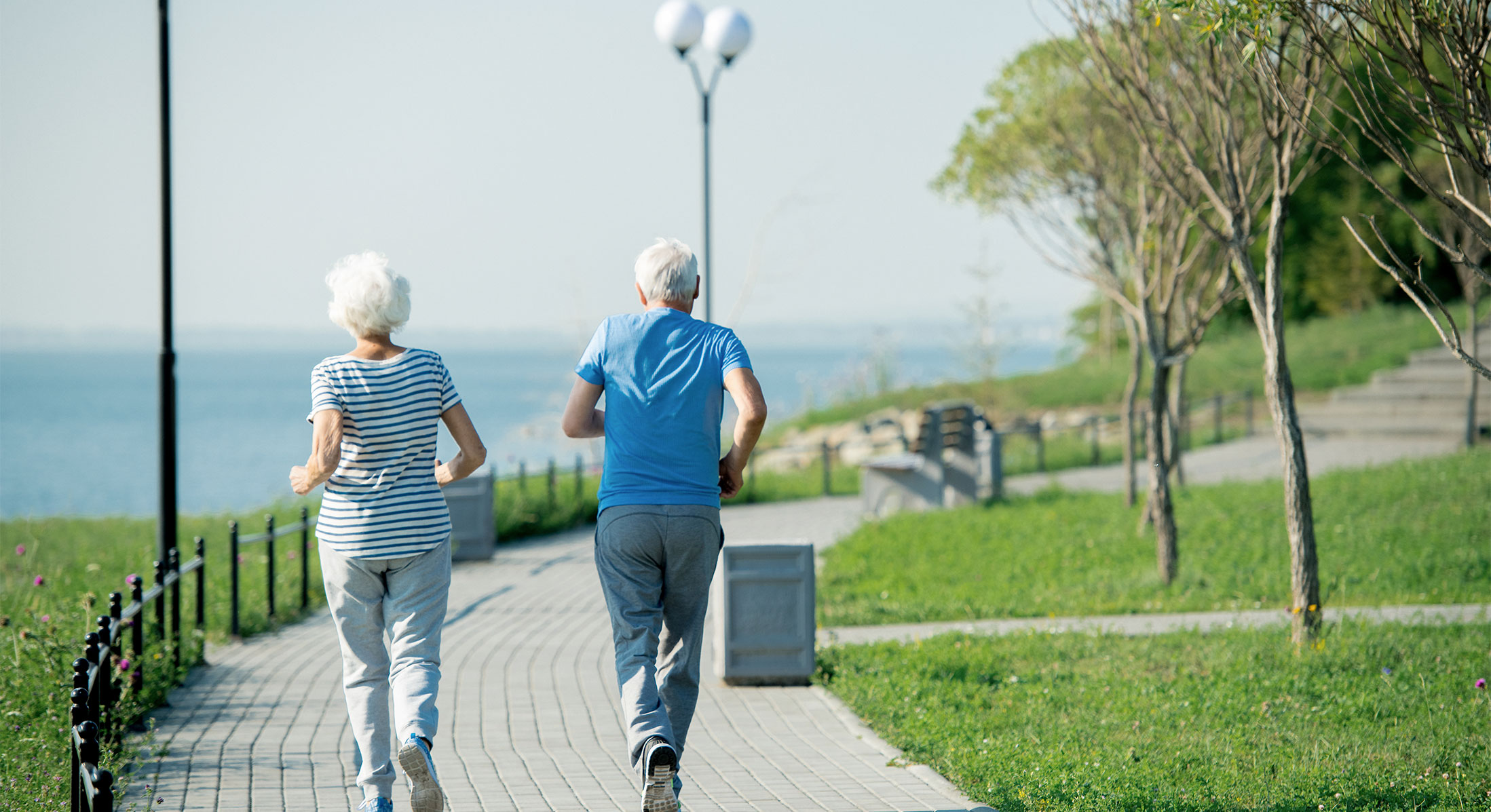 Understanding the gut microbiota's impact on longevity